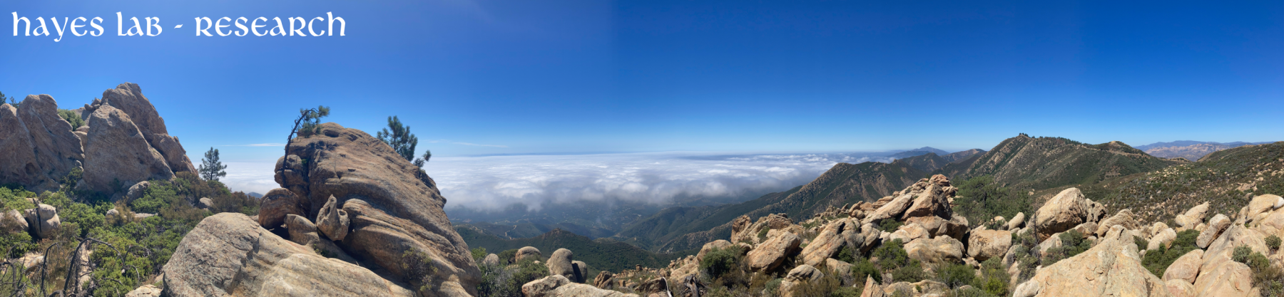 Research | Hayes Lab